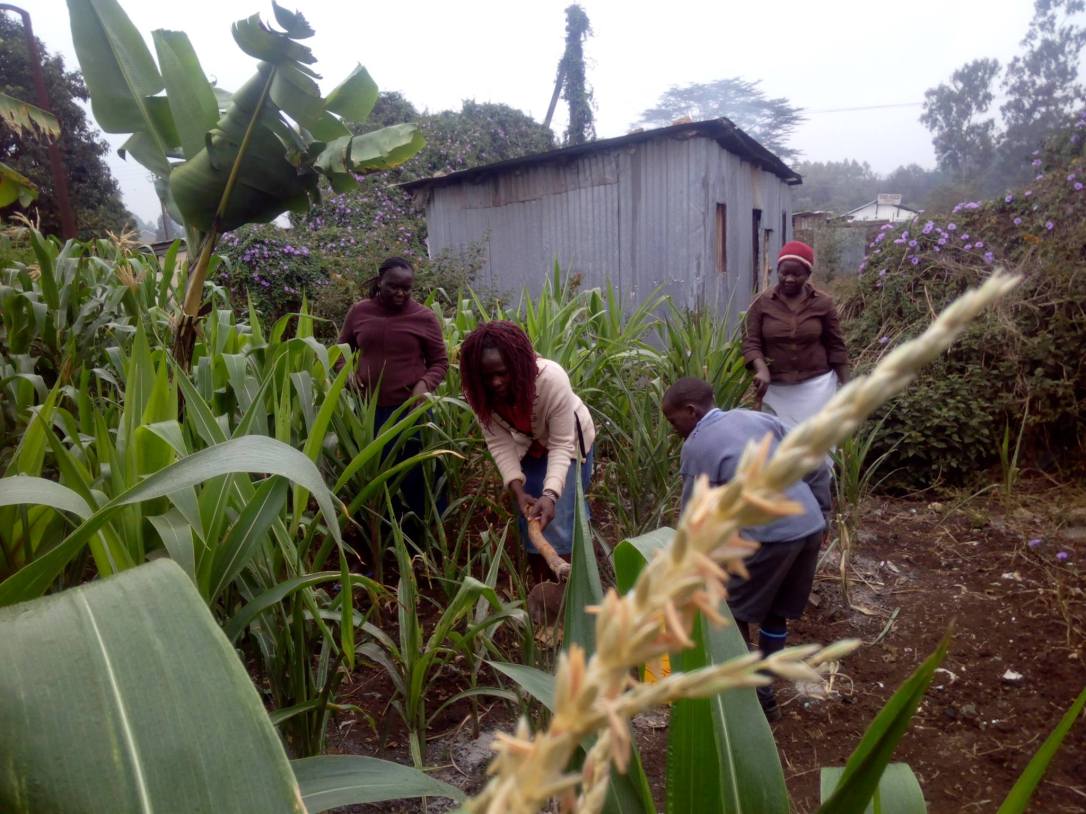 Integrated Community – Voluntary Development Program