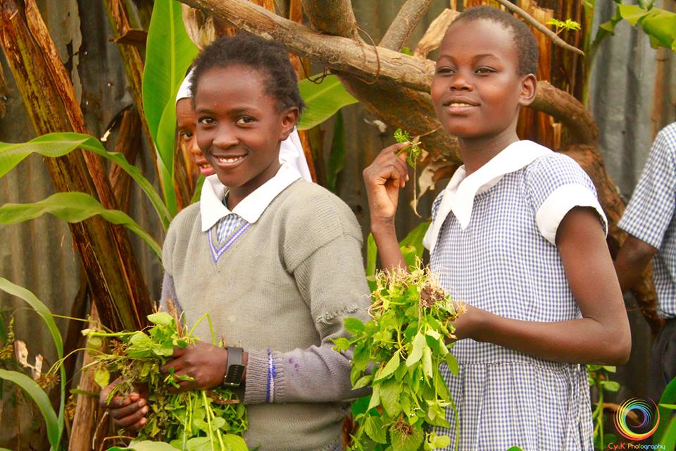 Integrated Community – Voluntary Development Program