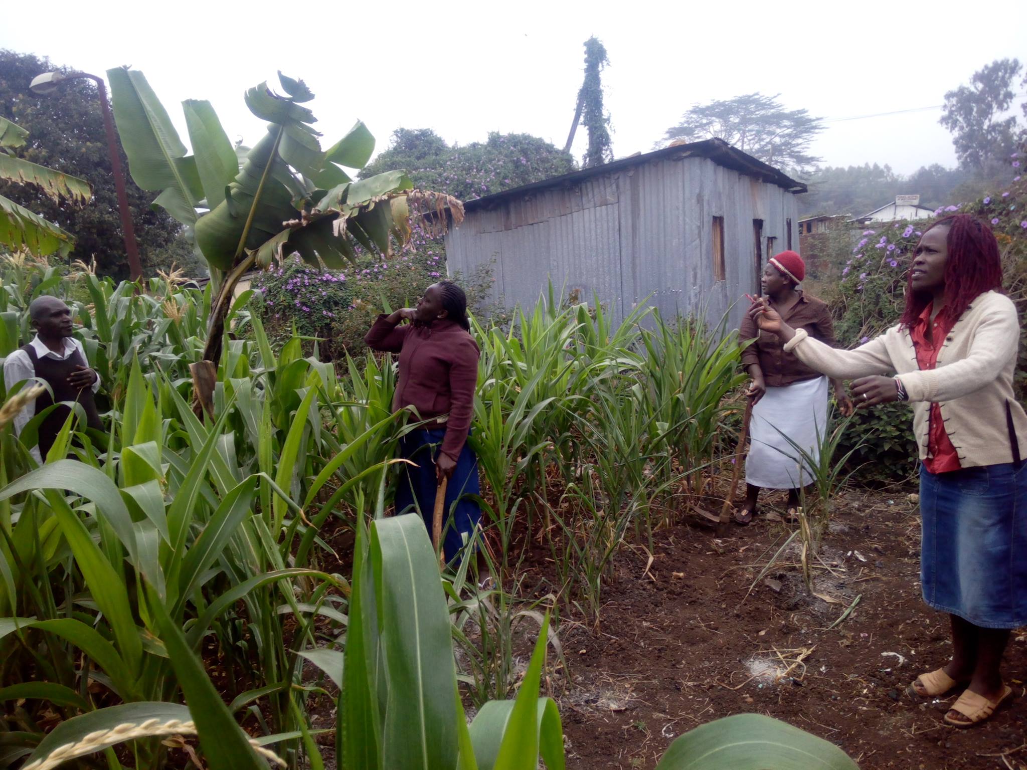 Integrated Community – Voluntary Development Program