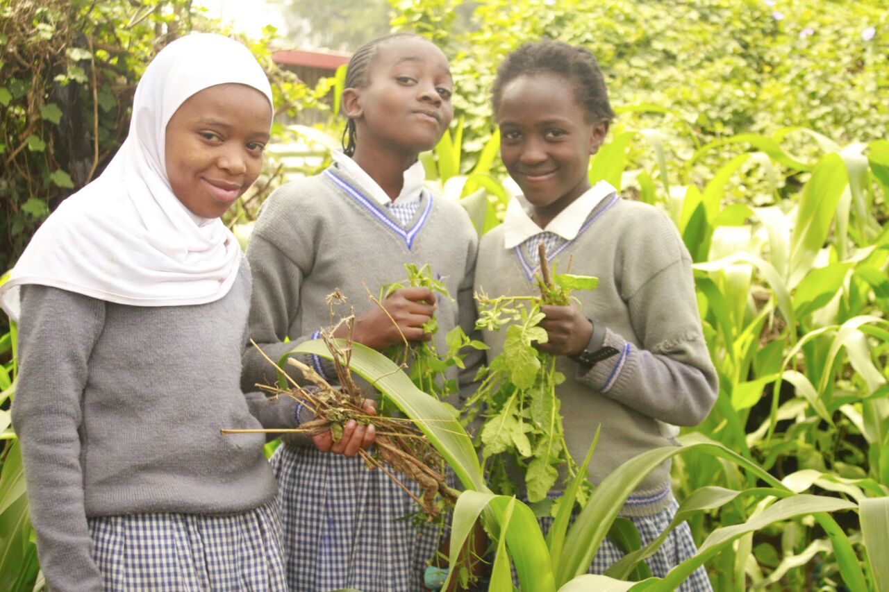 Integrated Community – Voluntary Development Program