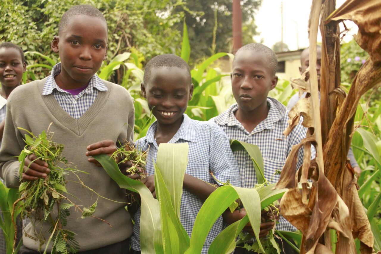 Integrated Community – Voluntary Development Program